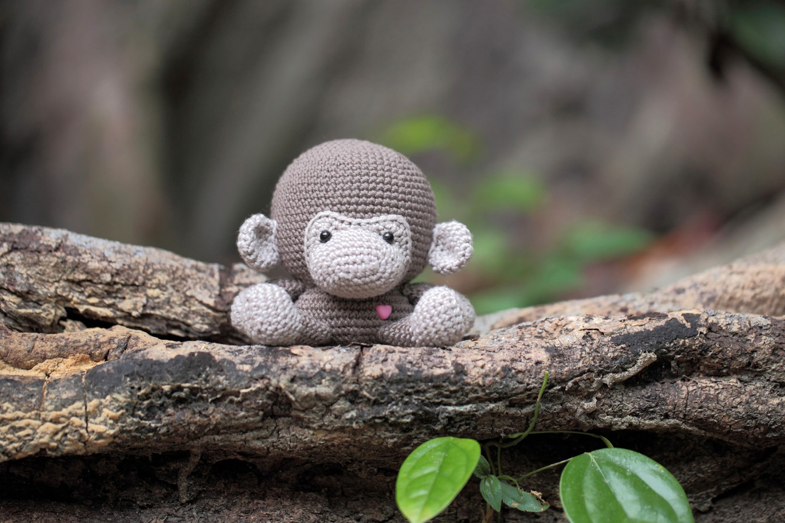 Ali the Monkey | Fat Face & Me