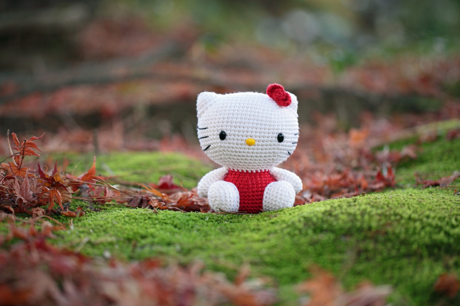 Hello Kitty at Shukkeien | Fat Face & Me