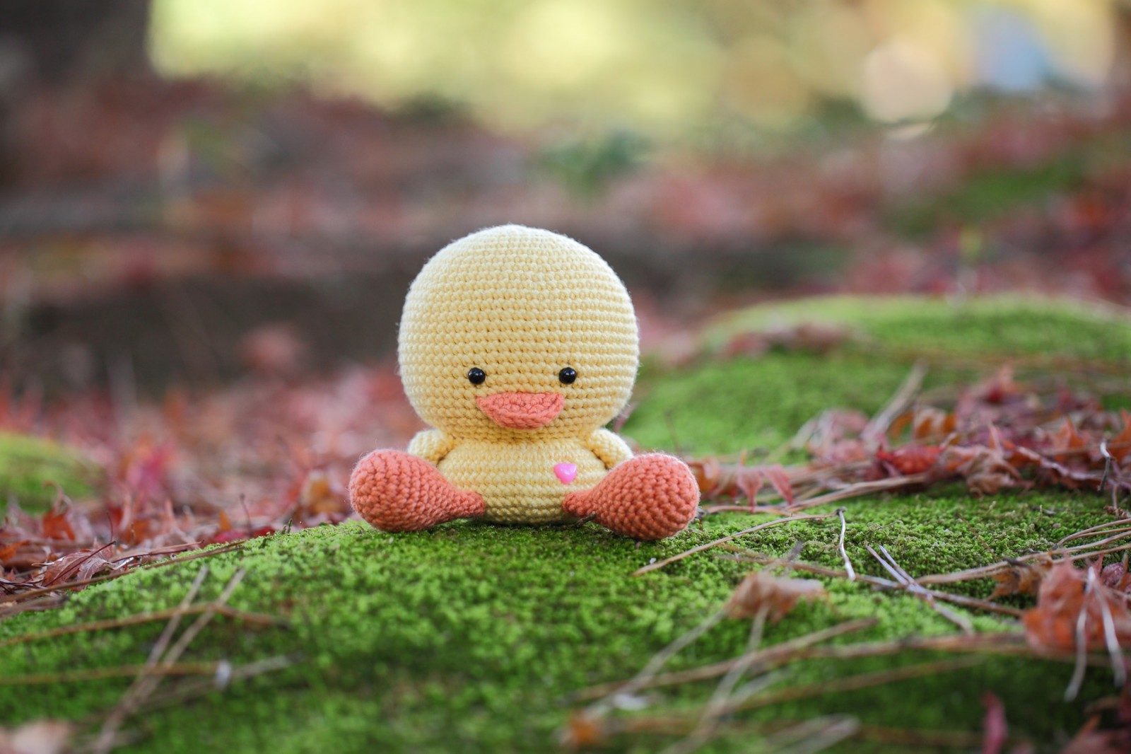 Henry the Duck at Shukkeien | Fat Face & Me