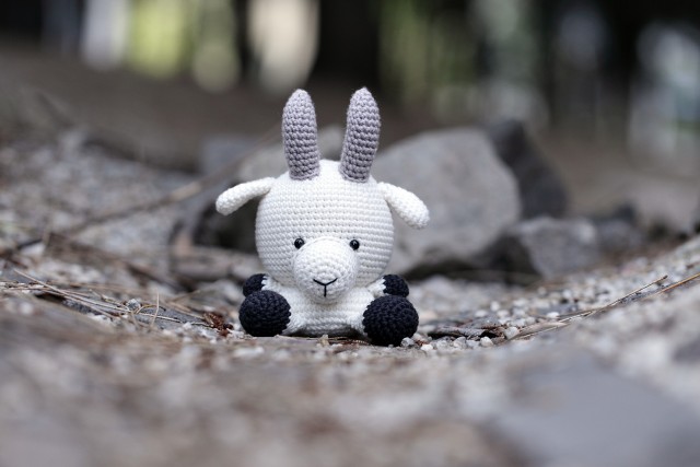 Billy the Goat | Fat Face & Me