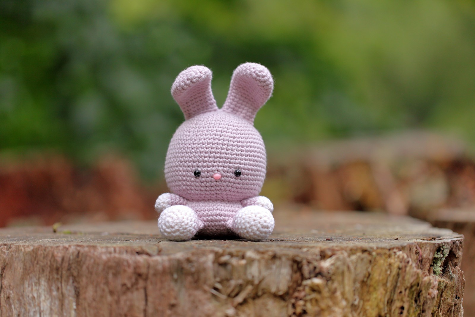 Ruby the Rabbit | Fat Face & Me